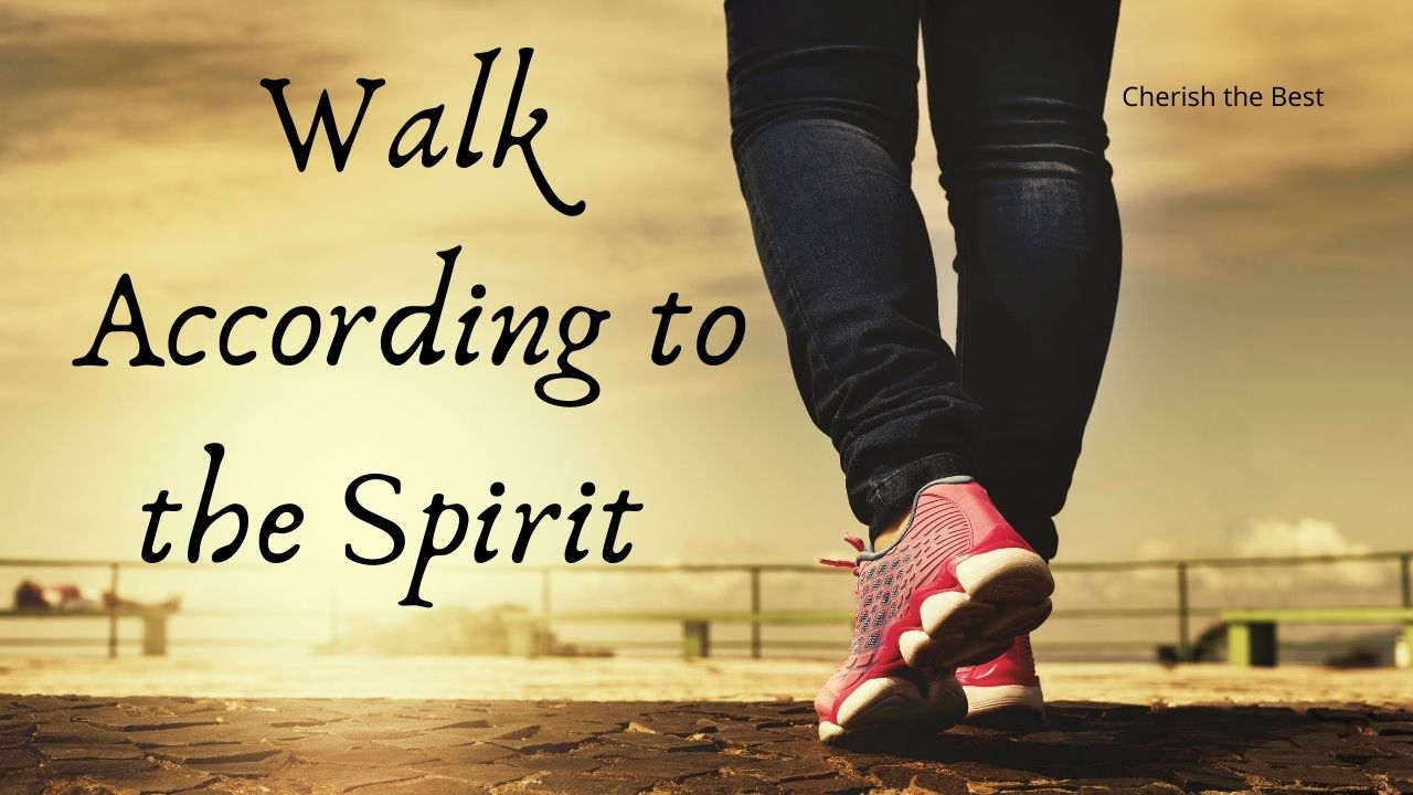 Walk According to the Spirit - Cherish the Best