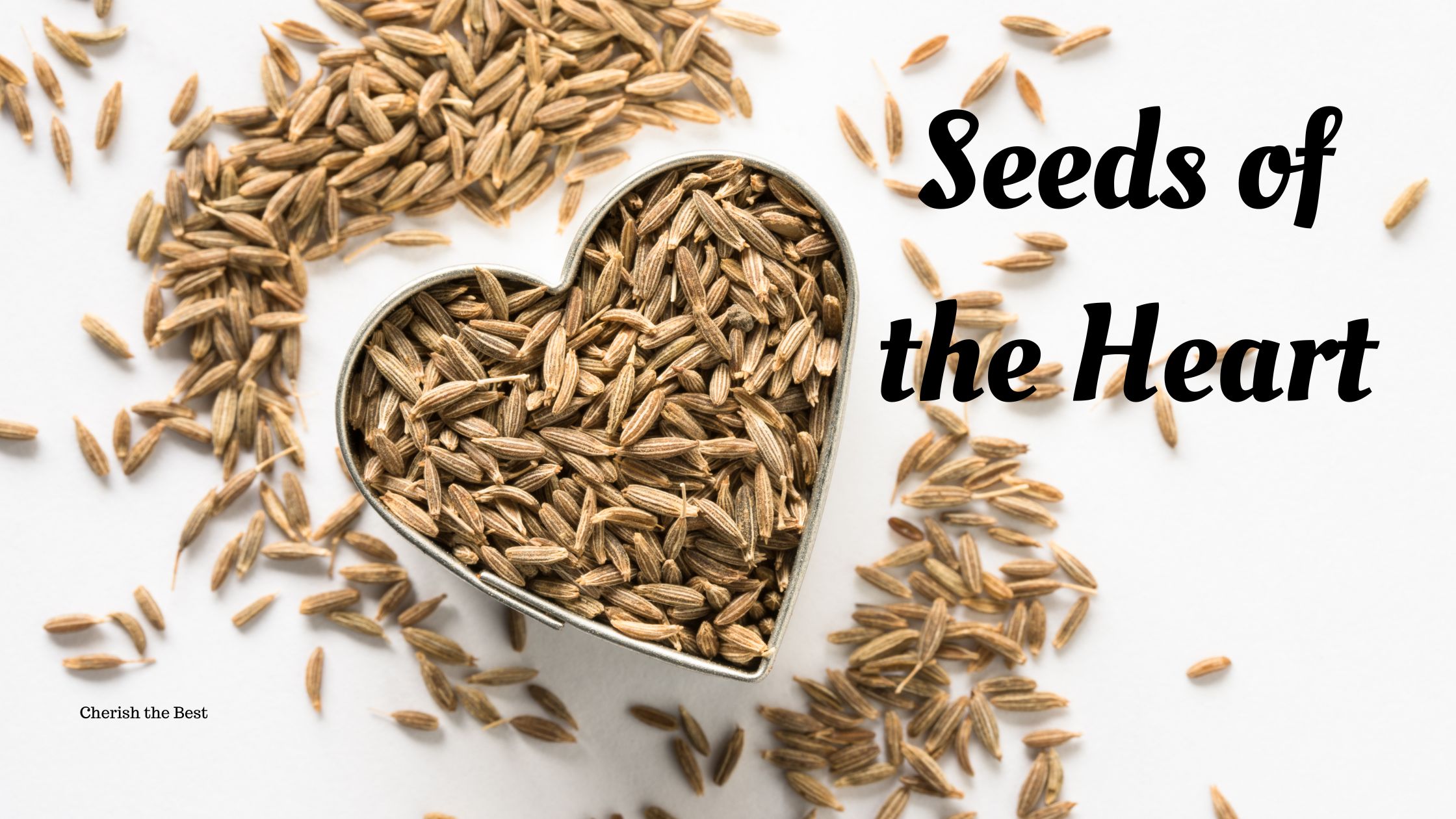 Seeds of the Heart - Cherish the Best