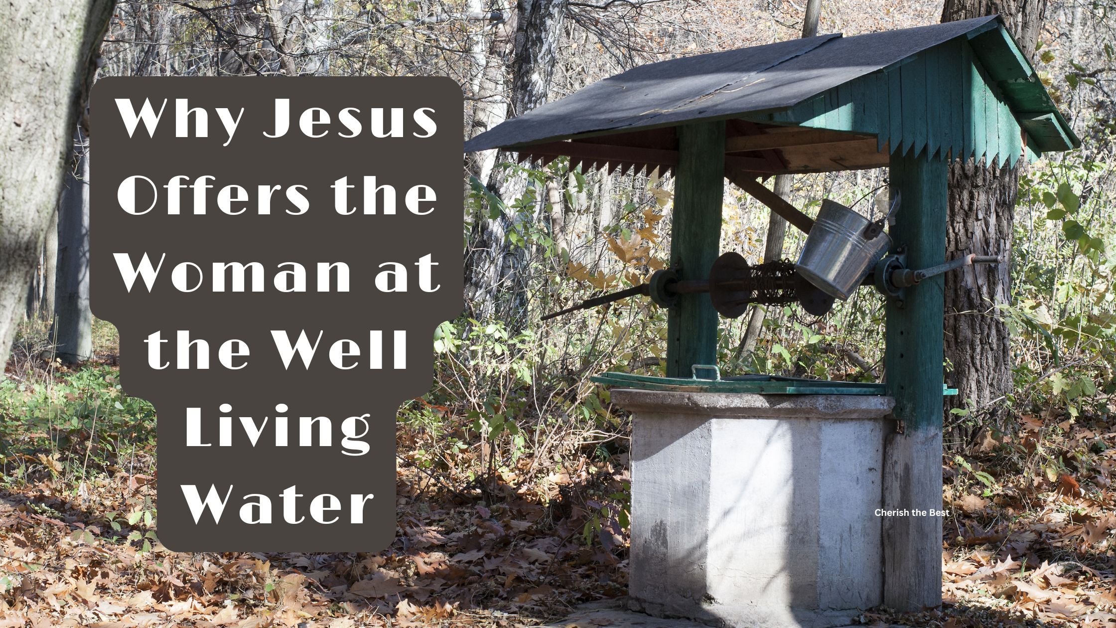 Why Jesus Offers the Woman at the Well Living Water - Cherish the Best